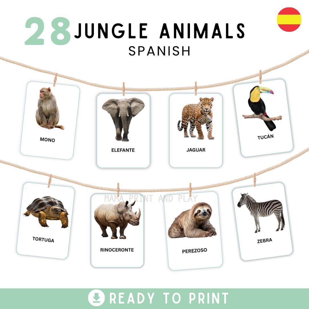 JUNGLE ANIMALS SPANISH Flashcards, Montessori Spanish Flashcards, Pre ...