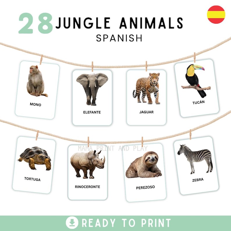 JUNGLE ANIMALS SPANISH Flashcards, Montessori Spanish Flashcards, Pre ...