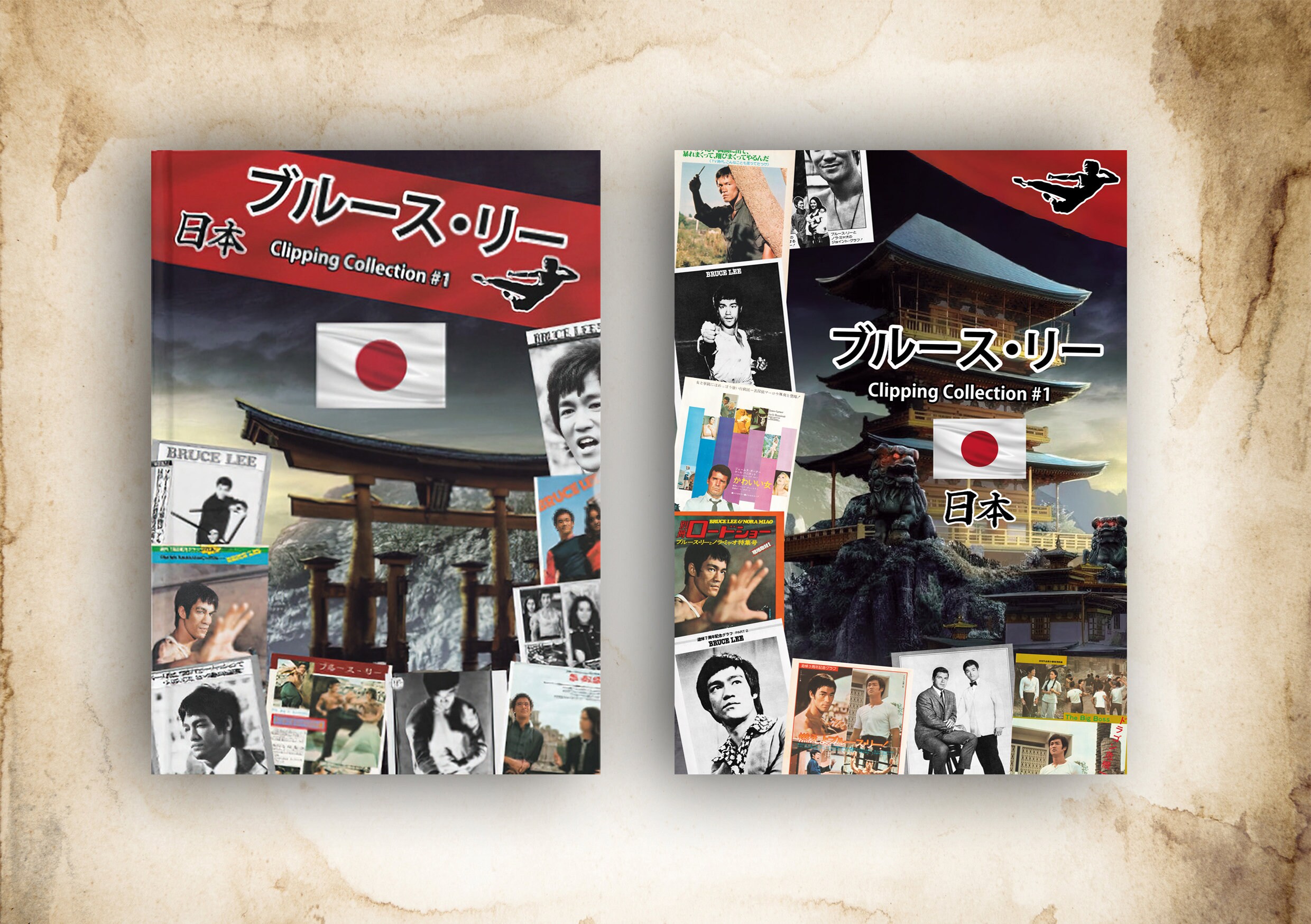 Bruce Lee Japan Clipping Collection Book 2023 TOP - Etsy