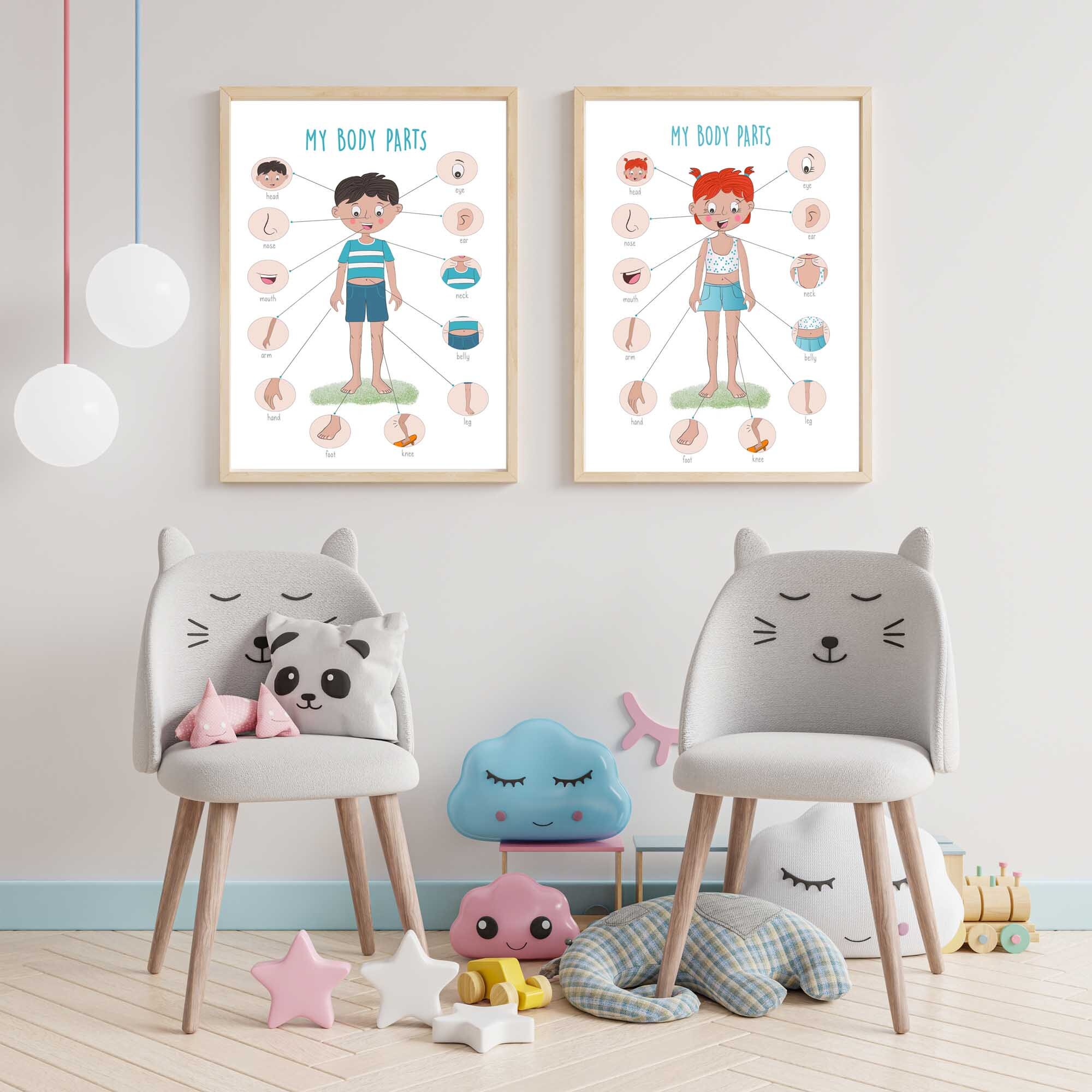 Set of 2 Posters of Human Body Parts Preschool and Primary Education ...