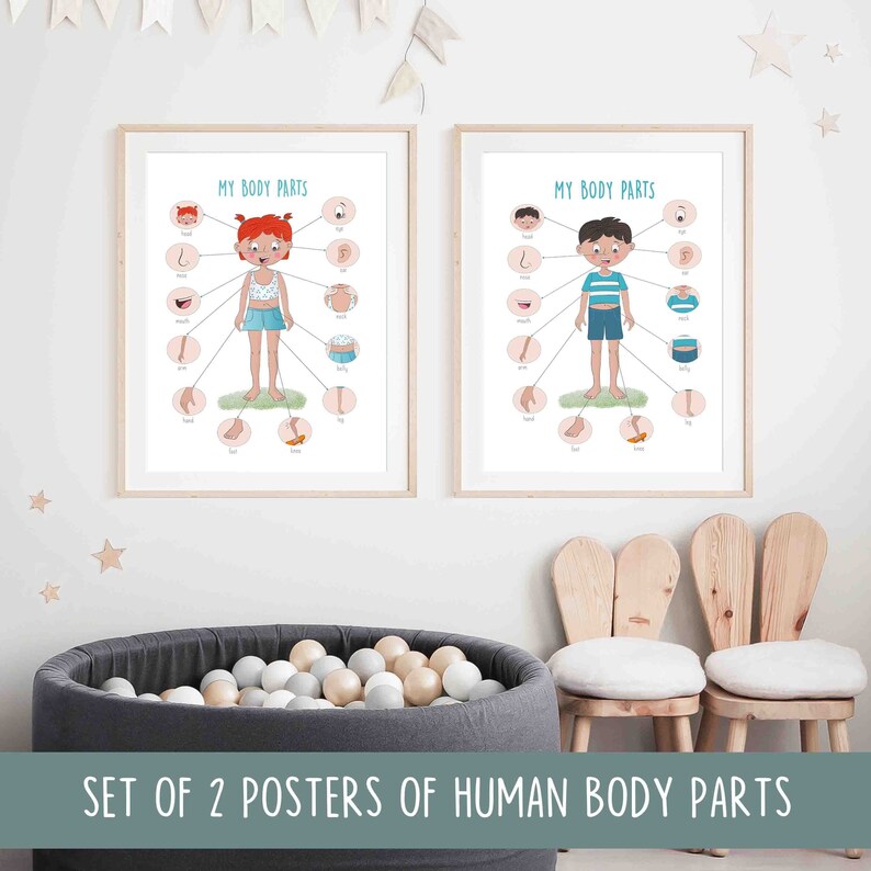 Conjunto de 2 carteles de partes del cuerpo humano Educación Preescolar ...