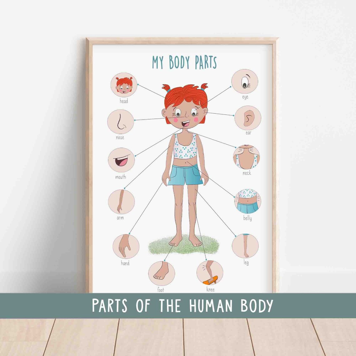 Human Body Parts as a Girl Preschool Educational Classroom - Etsy UK
