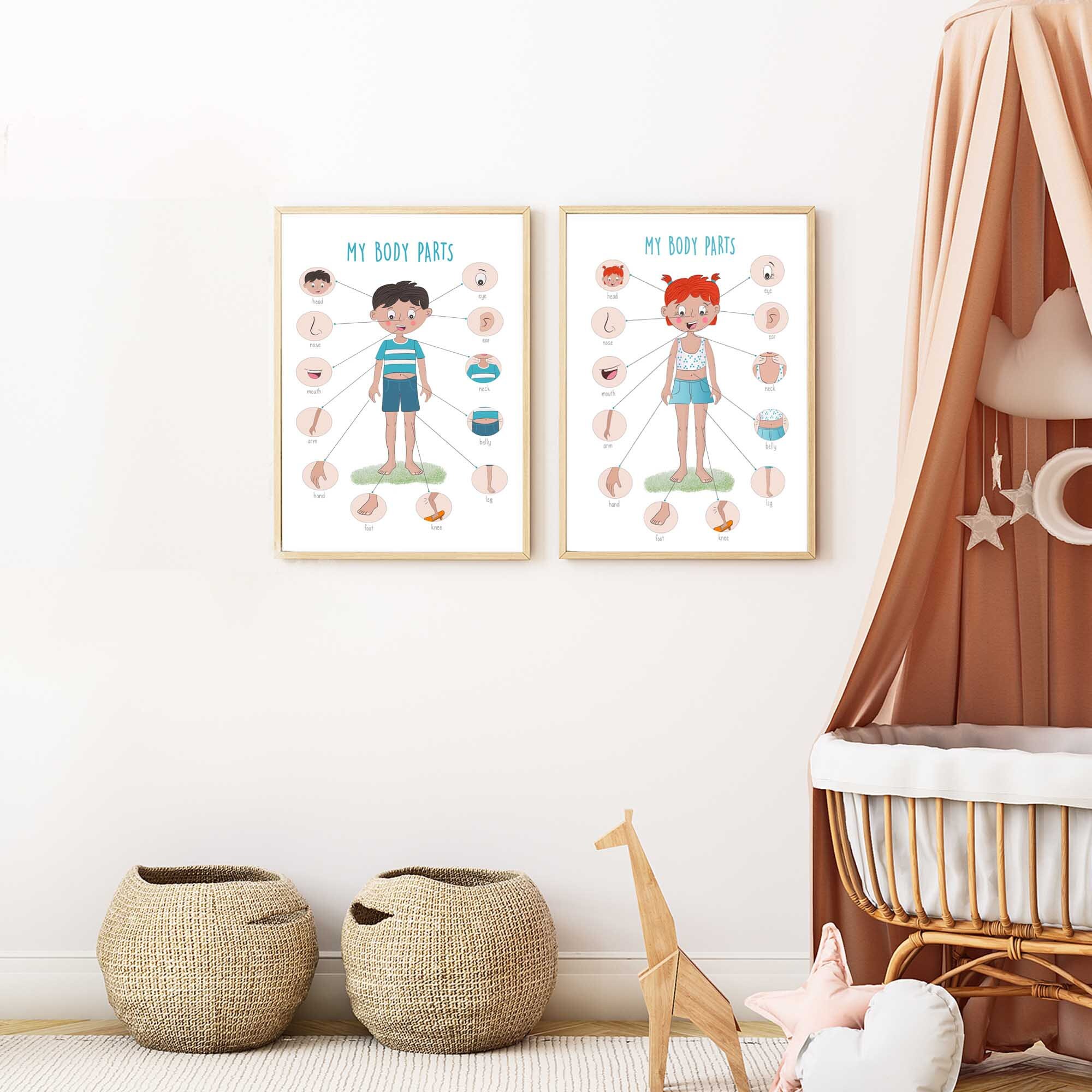 Set of 2 Posters of Human Body Parts Preschool and Primary Education ...