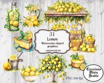 Watercolor Lemon Clipart Bundle 20 Citrus Fruit PNG Graphics, Instant ...