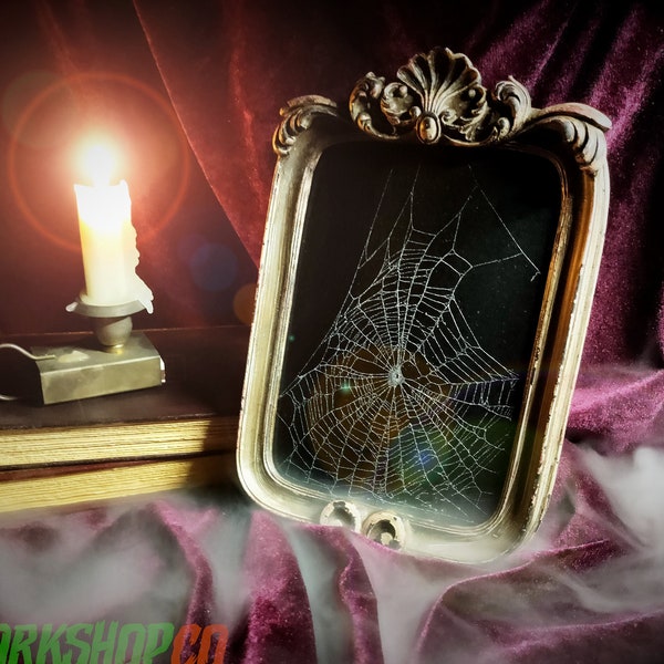 Framed Spider Web - Etsy