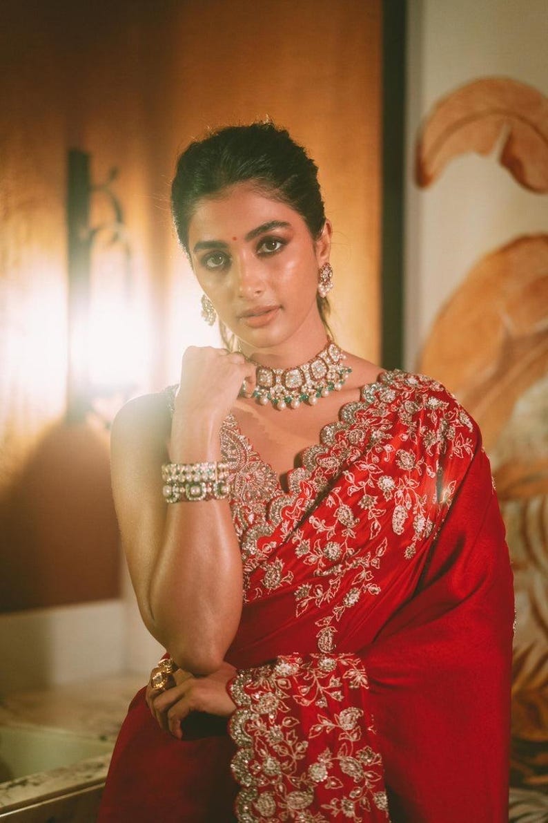 Sabyasachi Inspired Saree Red Saree With Embroidered Border Heavy ...