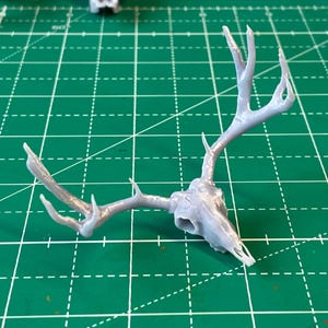 Stag Skull – 3D Printed Deer Skull, Buck Skull, Black Animal Resin ...