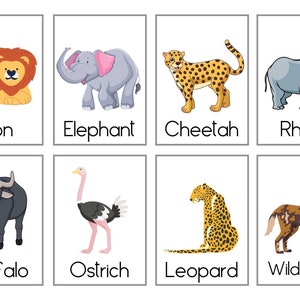 16 Printable Safari Animals Flashcard Cute Jungle Wild African Game ...