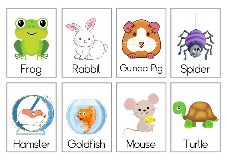 16 Printable Pet Animals Flashcard Cute Montessori Toys Learning ...