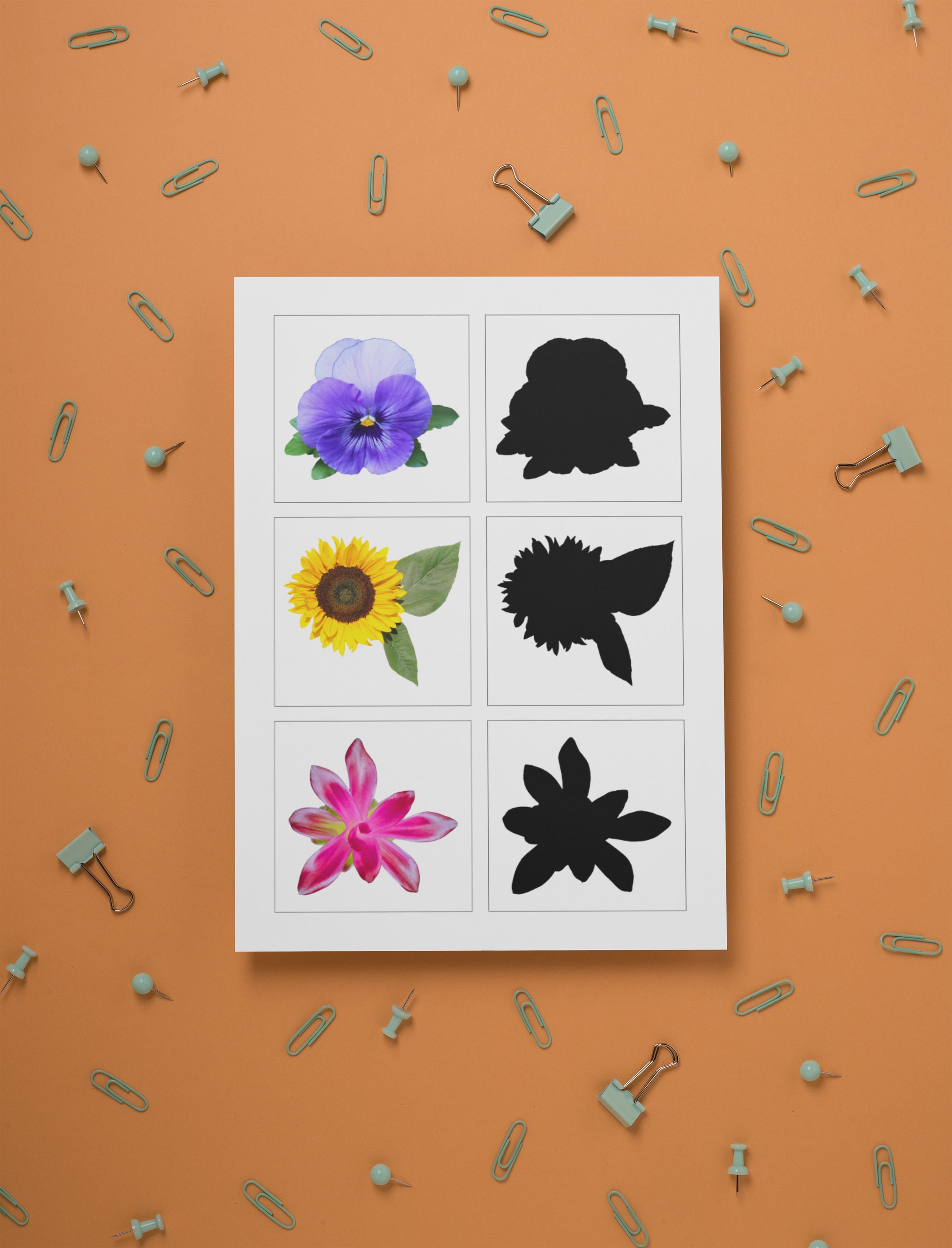 Flower Shadow Matching Cards Printable Montessori Spring Flashcards ...