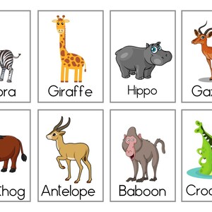 16 Printable Safari Animals Flashcard Cute Jungle Wild African Game ...