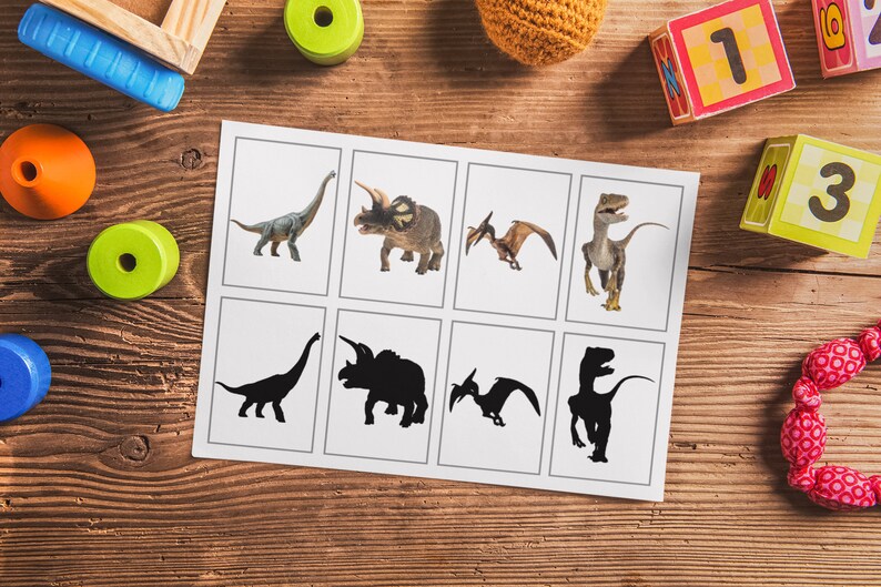 Dinosaur Shadow Matching Printable Montessori Flashcards Digital ...