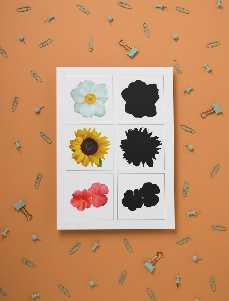 Flower Shadow Matching Cards Printable Montessori Spring Flashcards ...