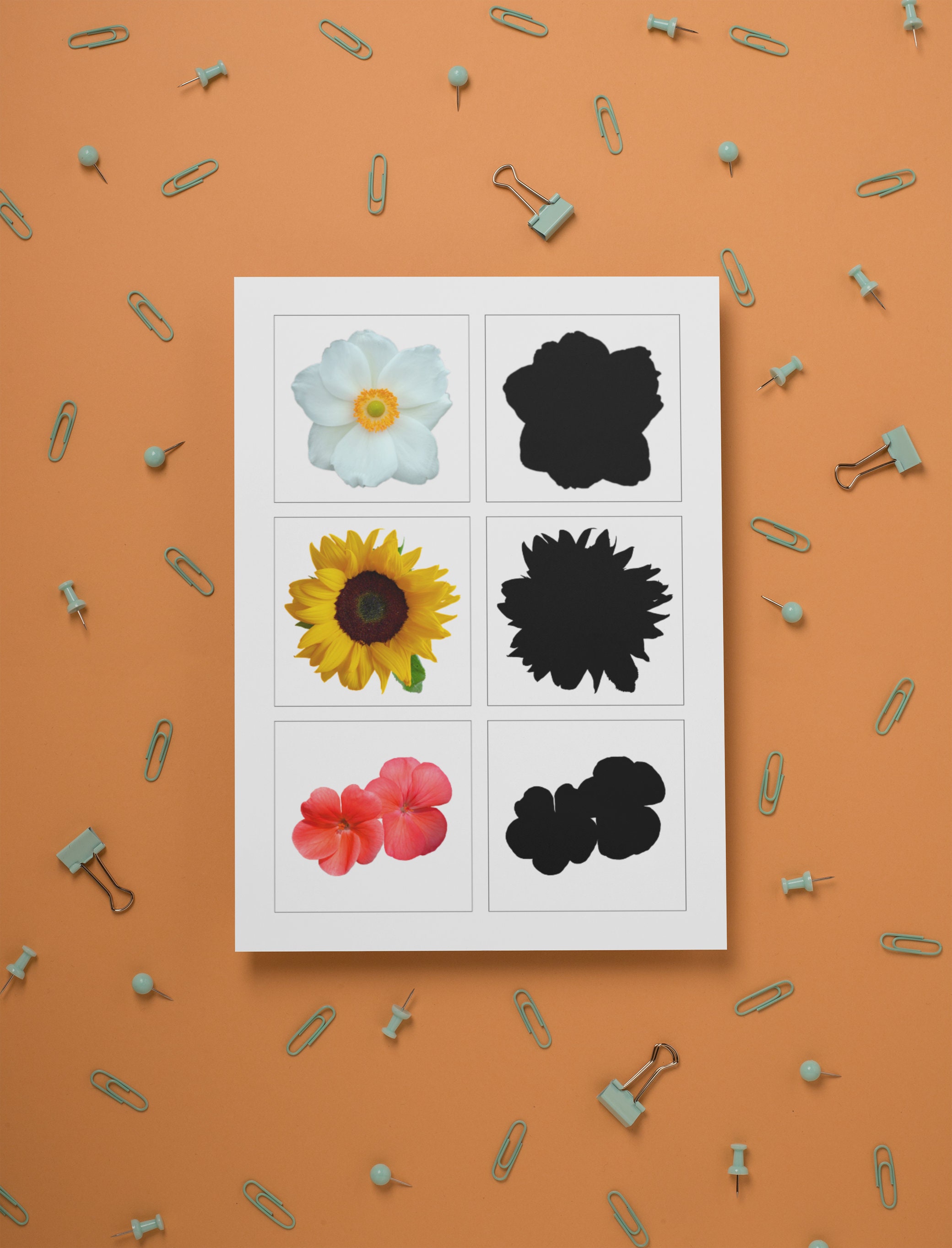 Flower Shadow Matching Cards Printable Montessori Spring Flashcards ...