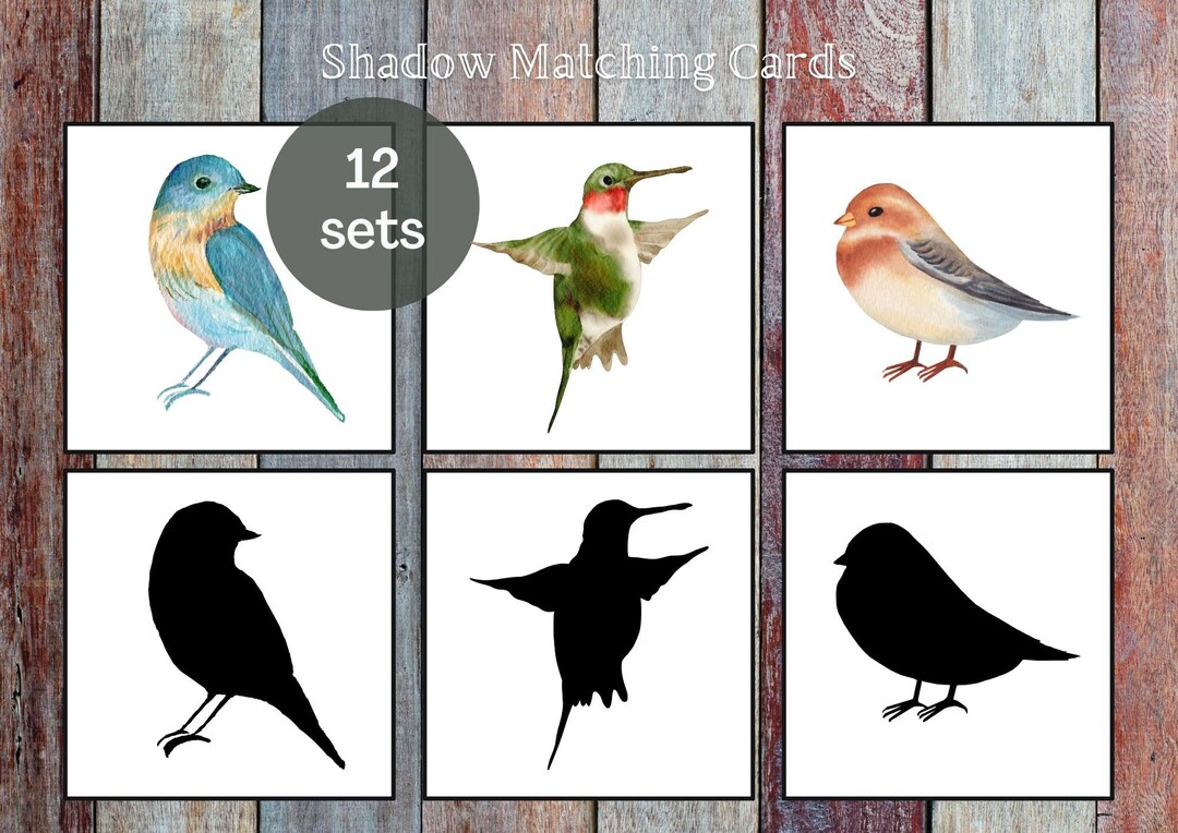 Watercolor Birds Shadow Matching Cards Printable Montessori Spring ...