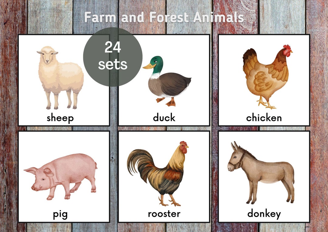 Watercolor Farm and Forest Animals Flashcard Color Illustrated Cards ...