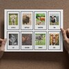 Shadow Matching Wodland Animals Watercolor Montessori Printable ...