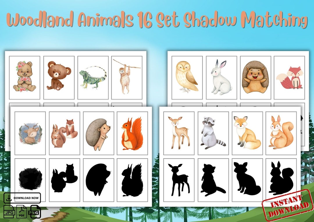 Shadow Matching Wodland Animals Watercolor Montessori Printable ...