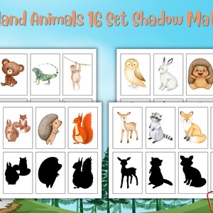 Shadow Matching Wodland Animals Watercolor Montessori Printable ...