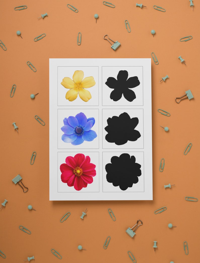 Flower Shadow Matching Cards Printable Montessori Spring Flashcards ...