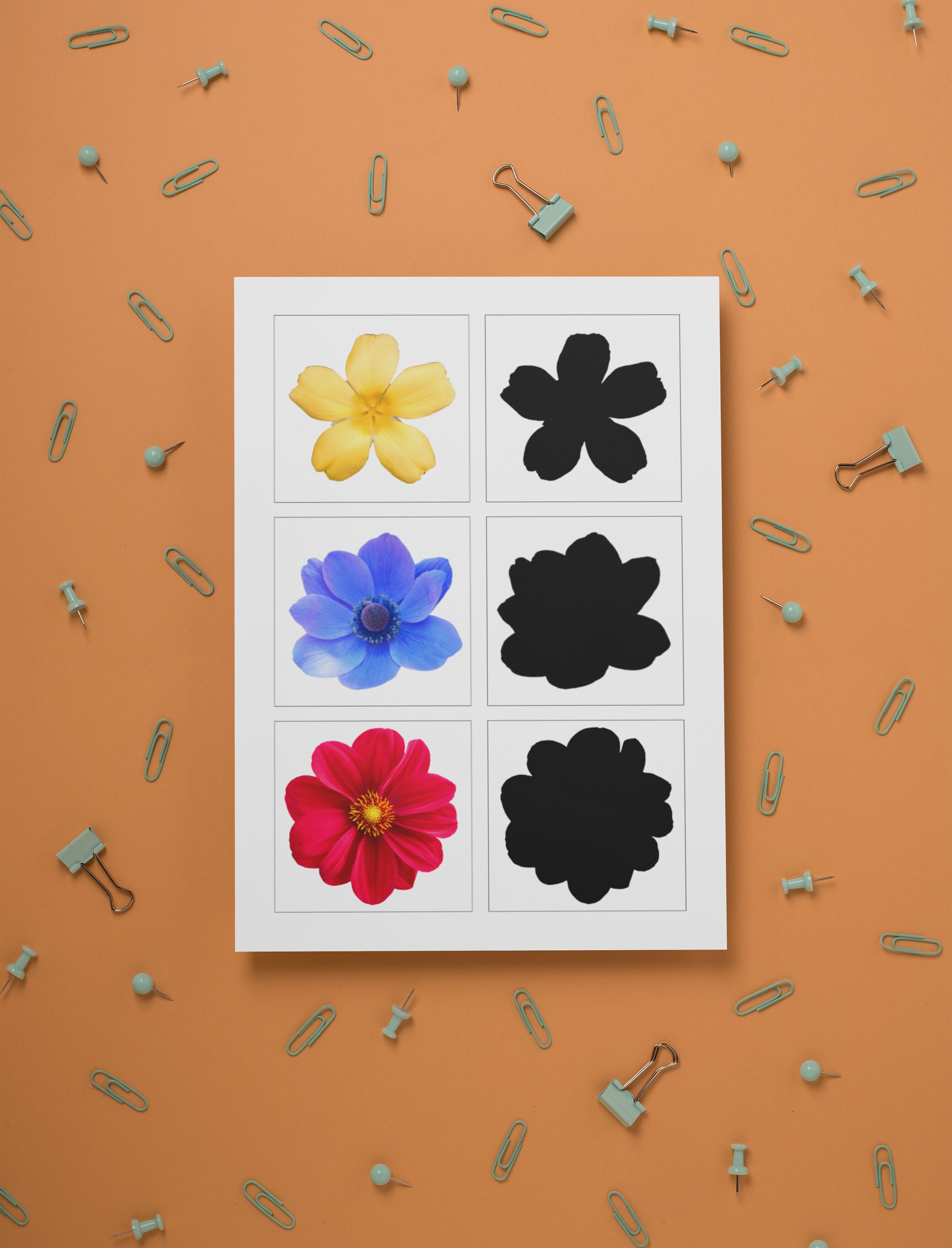 Flower Shadow Matching Cards Printable Montessori Spring Flashcards ...
