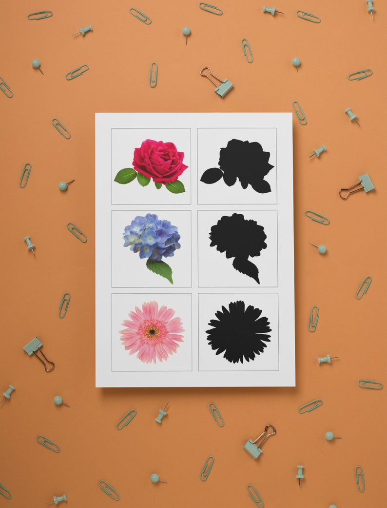 Flower Shadow Matching Cards Printable Montessori Spring Flashcards ...