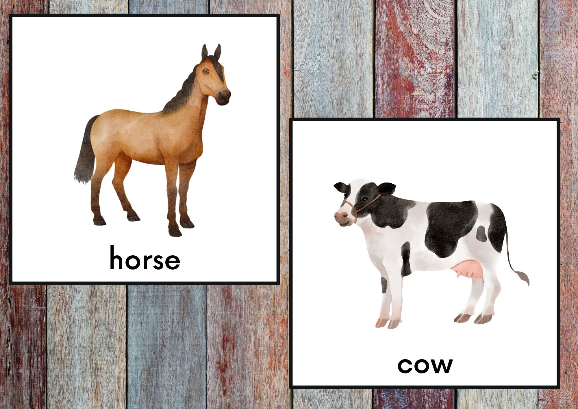 Watercolor Farm and Forest Animals Flashcard Color Illustrated Cards ...