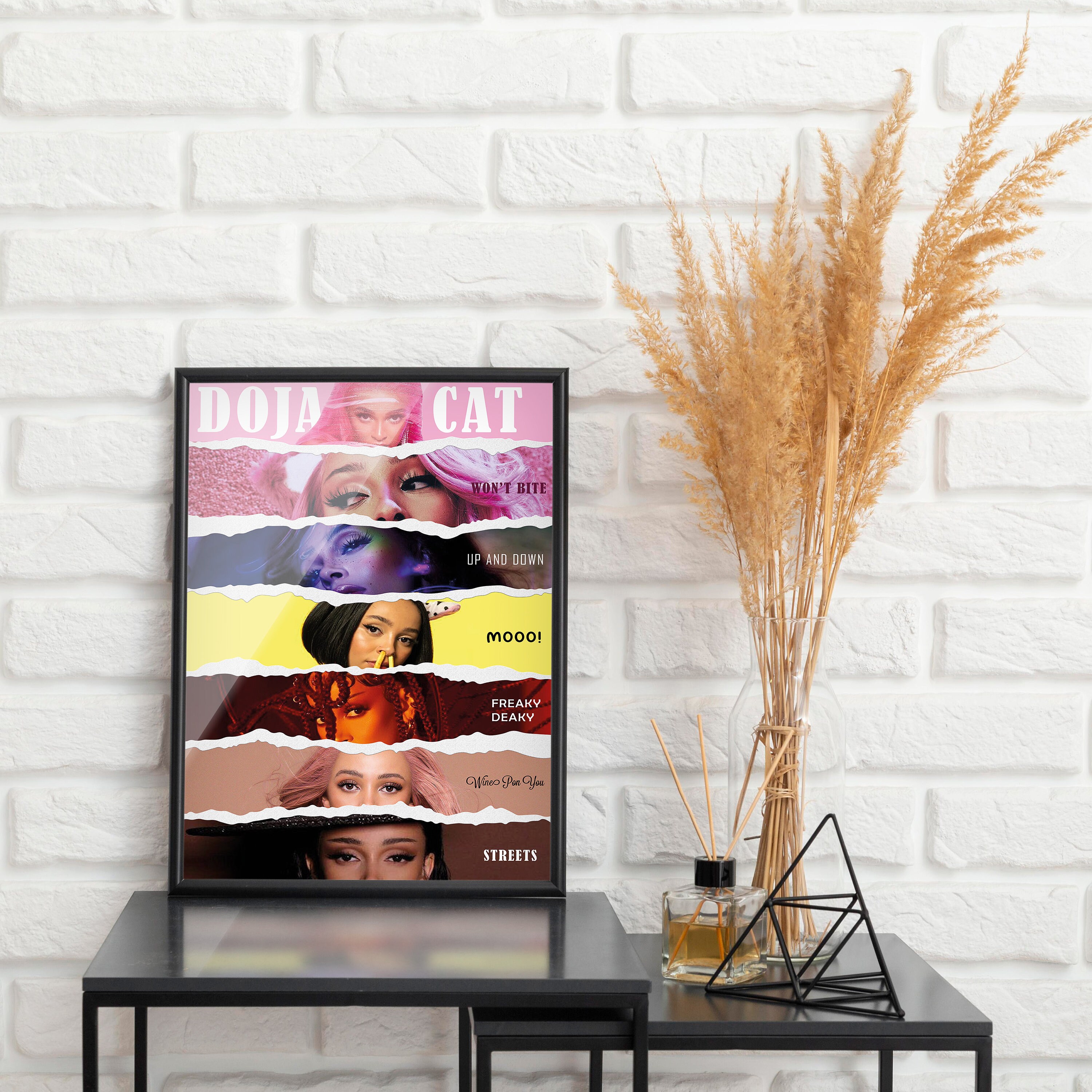 Doja Cats All Album Covers Chanteur Pop Poster