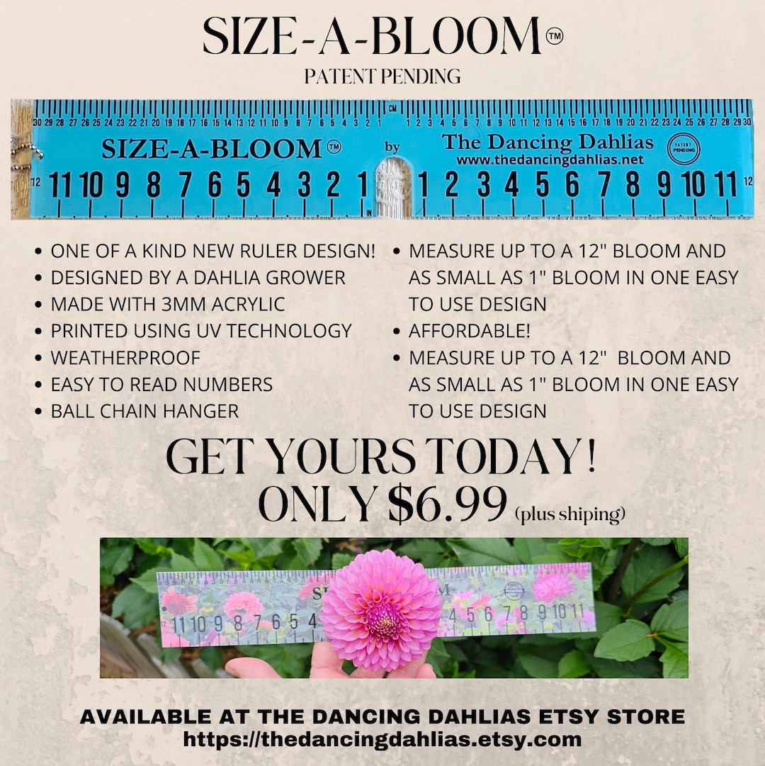 Dahlia Measuring Ruler/ Flower Ruler/size-a-bloom/patent Pending/bloom ...