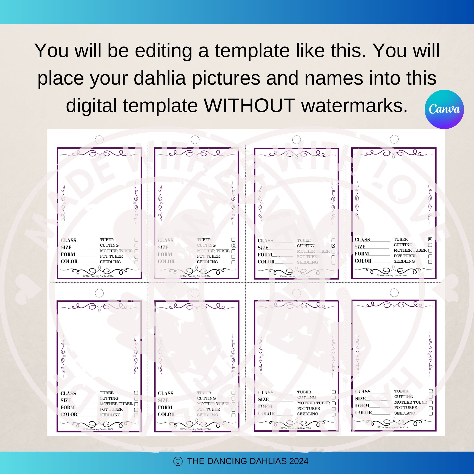Dahlia ID Tag Template, Design 1, Editable Dahlia ID Tags, Canva ...