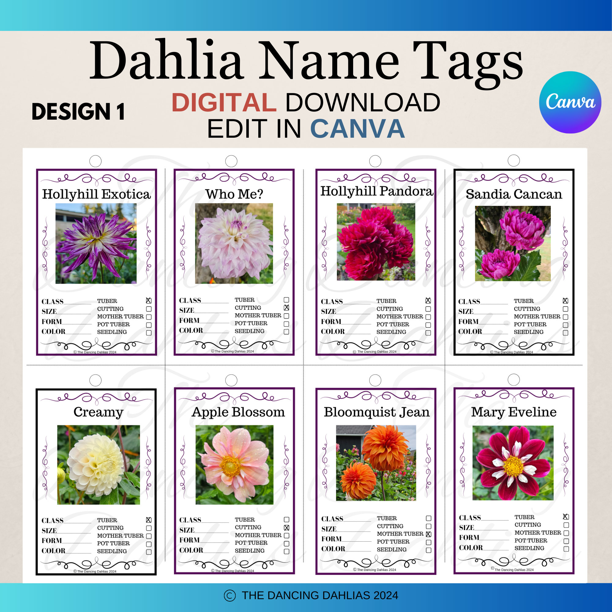 Dahlia ID Tag Template, Design 1, Editable Dahlia ID Tags, Canva ...