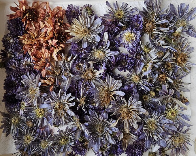 Dried/died, Blue Mum Heads, Rustic Flowers, Resin Crafts, Flowers for ...