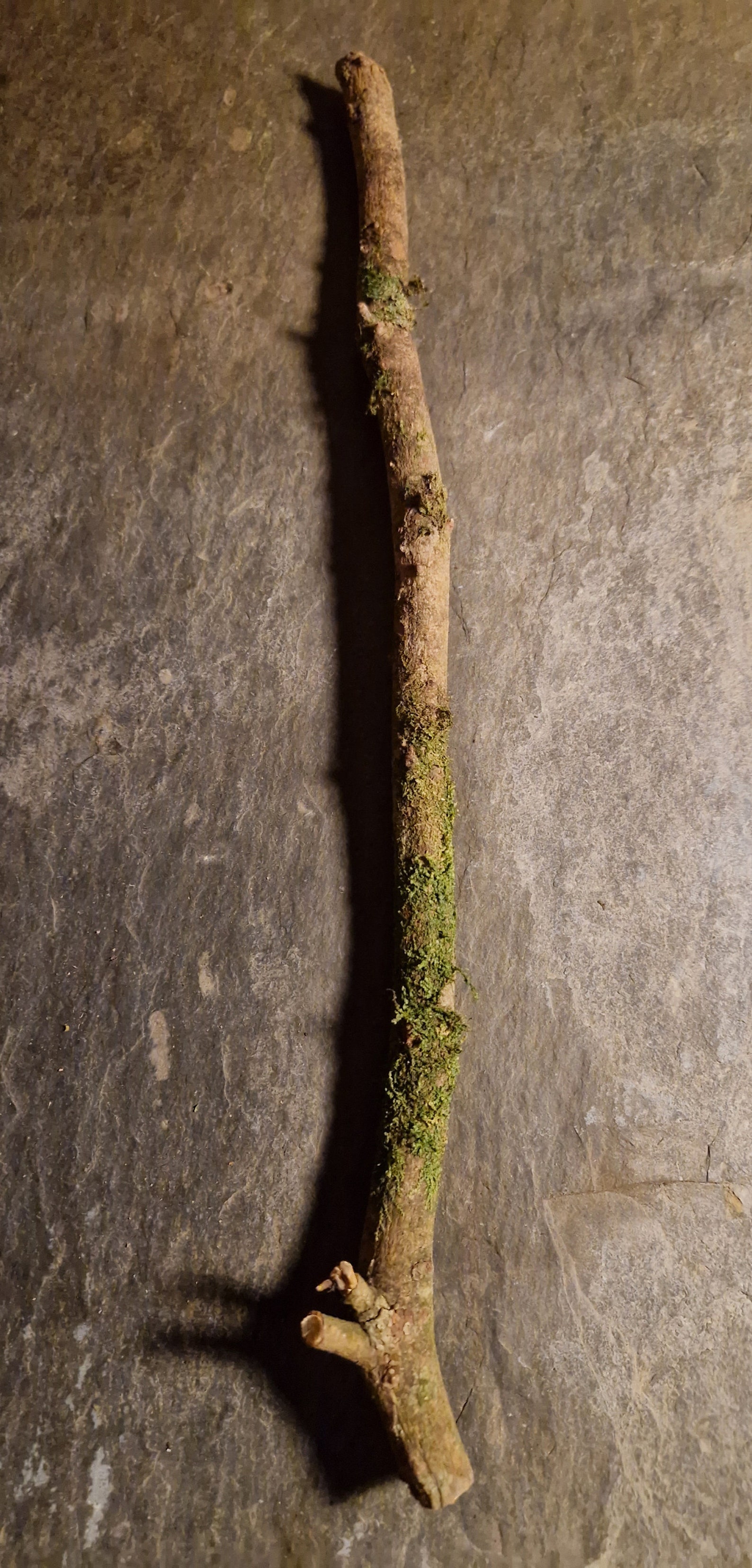 Irish YEW Stick/wand Perfect for All Kinds of Creative Craft Projects ...