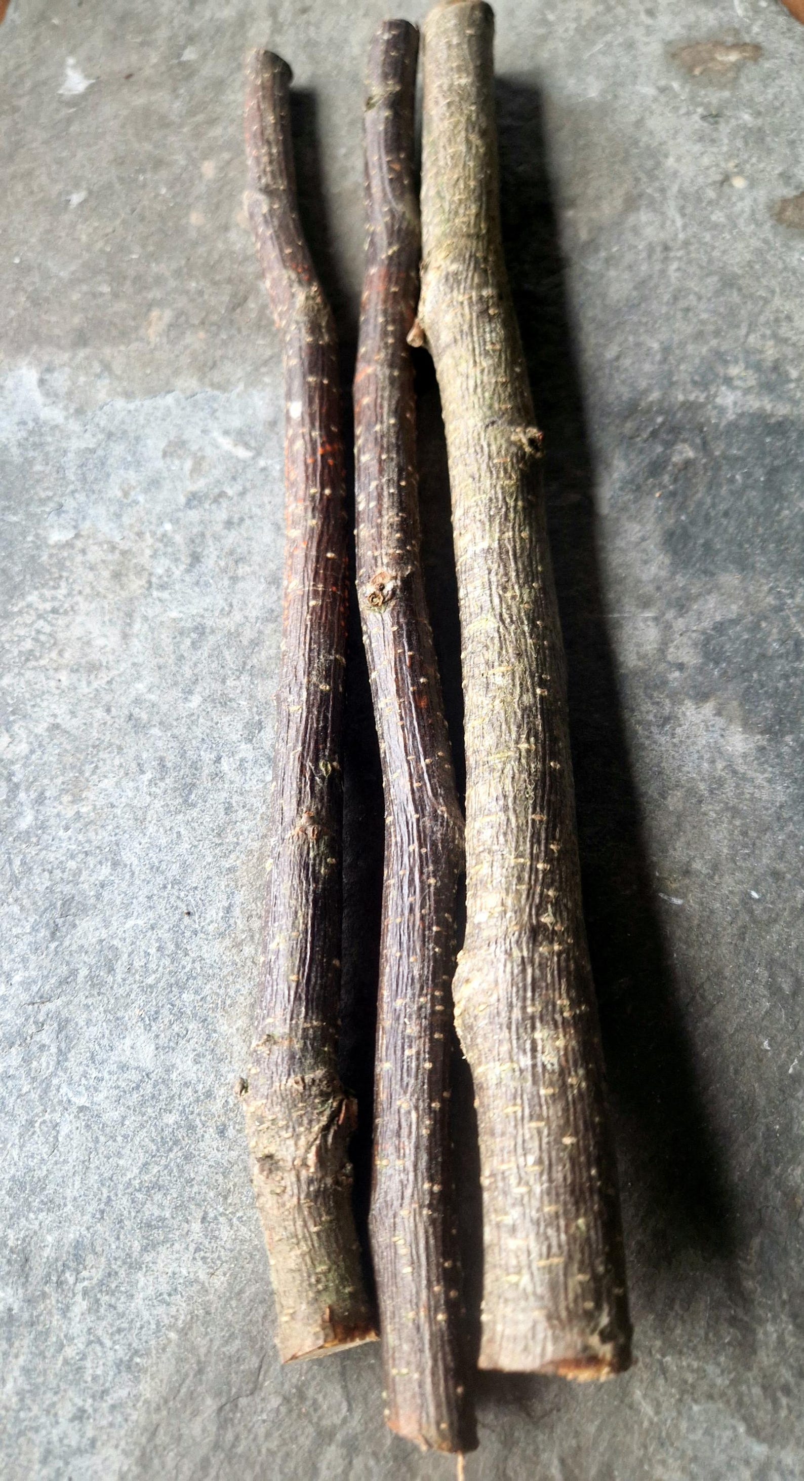 Irish Alder Sticks Wand Making, Craft Project - Etsy