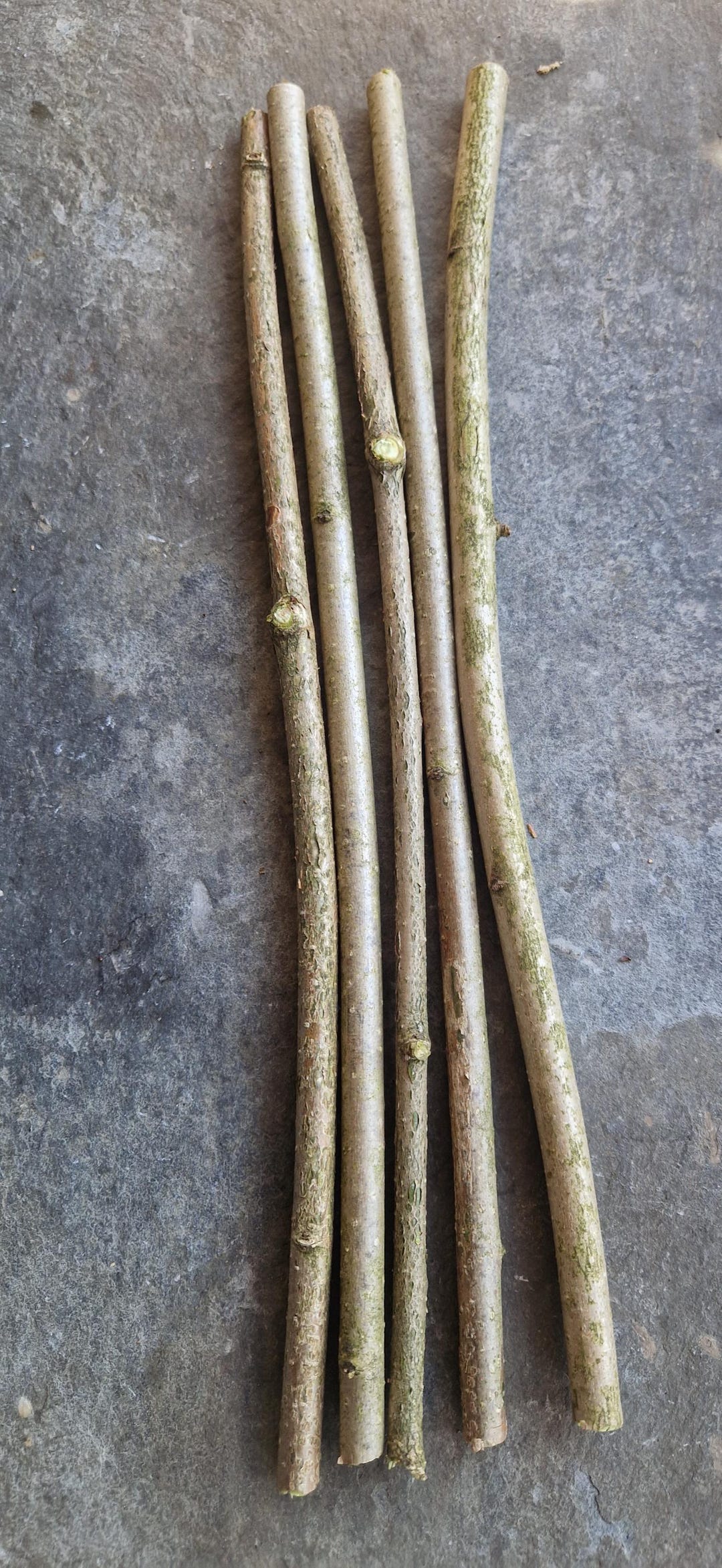 Thin Irish Hazel Sticks (x5) , Craft Supply, Natural Irish Wood - Etsy