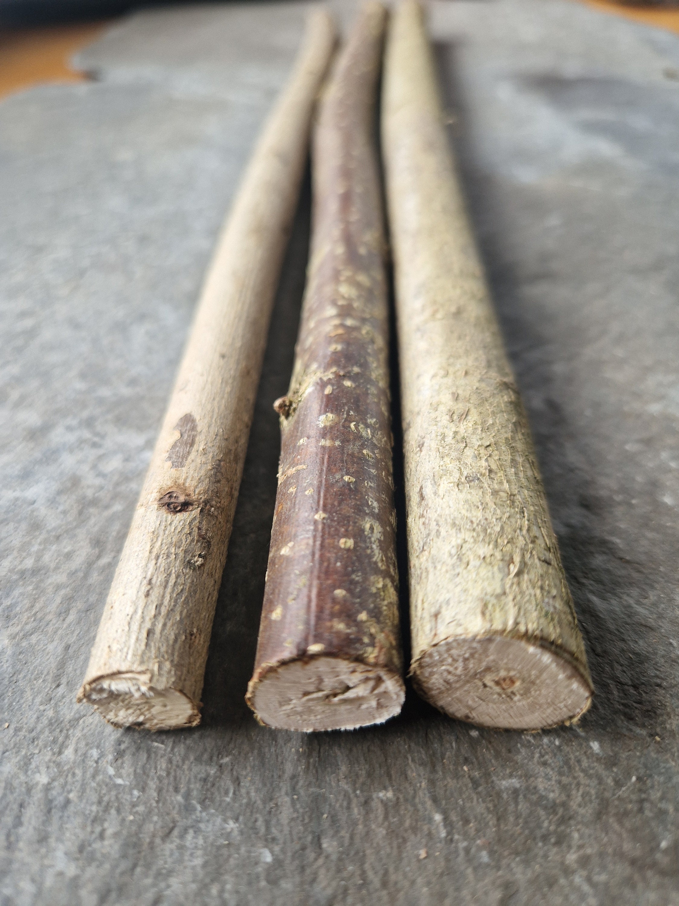 Irish Hazel Sticks X3 Bundle for Wand Making, Craft Supply, Natural ...