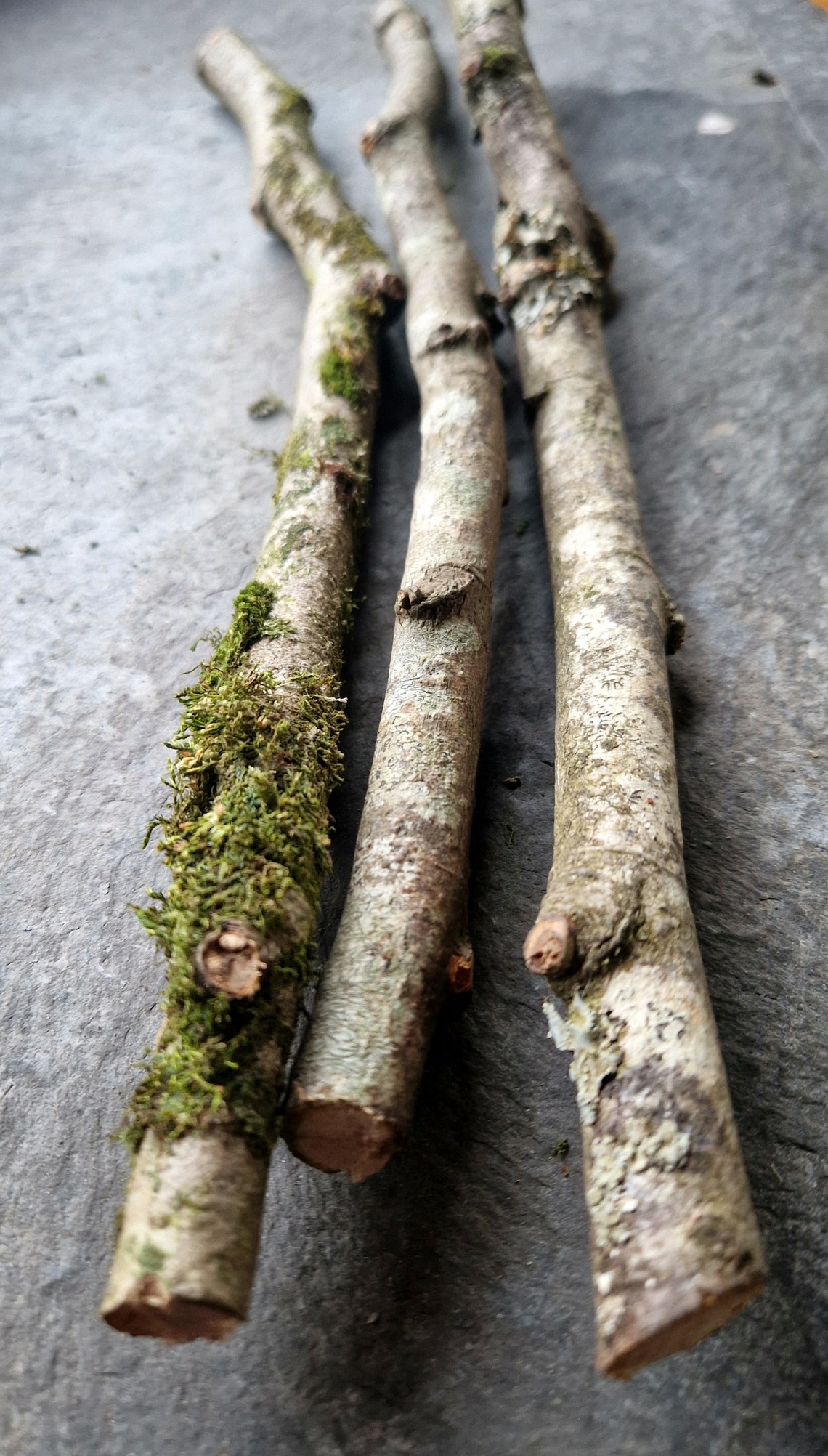 Irish Beech Tree Sticks X3 Bundle for Wand Making, Craft Supply ...