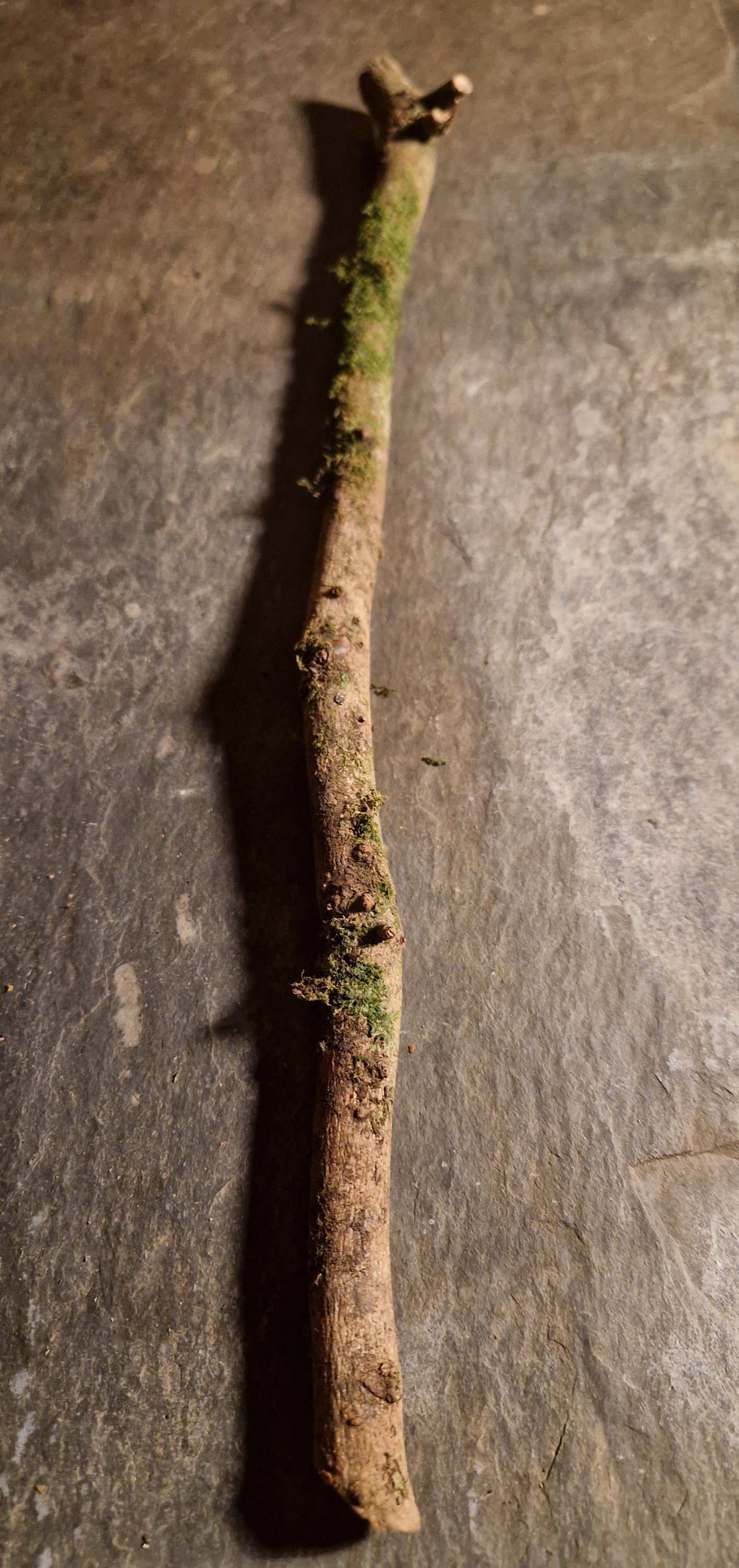 Irish YEW Stick/wand Perfect for All Kinds of Creative Craft Projects ...