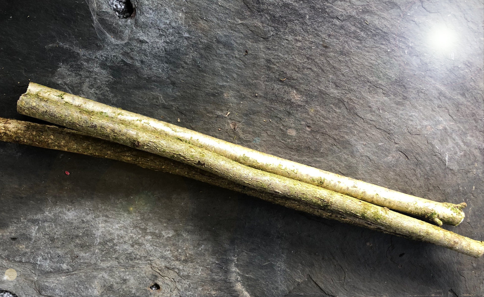 Irish Hazel Sticks X3 Bundle for Wand Making, Craft Supply, Natural ...