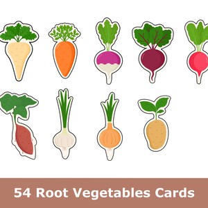 Digital Large Flisat Insert, Root Vegetables Pattern Matching Activity ...