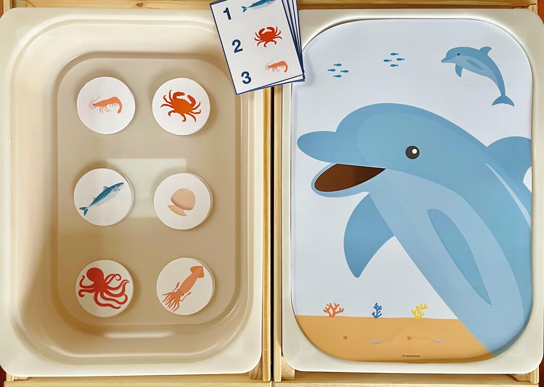 Digital Large Flisat Insert, Feed Dolphin, Learn to Count, Matching ...