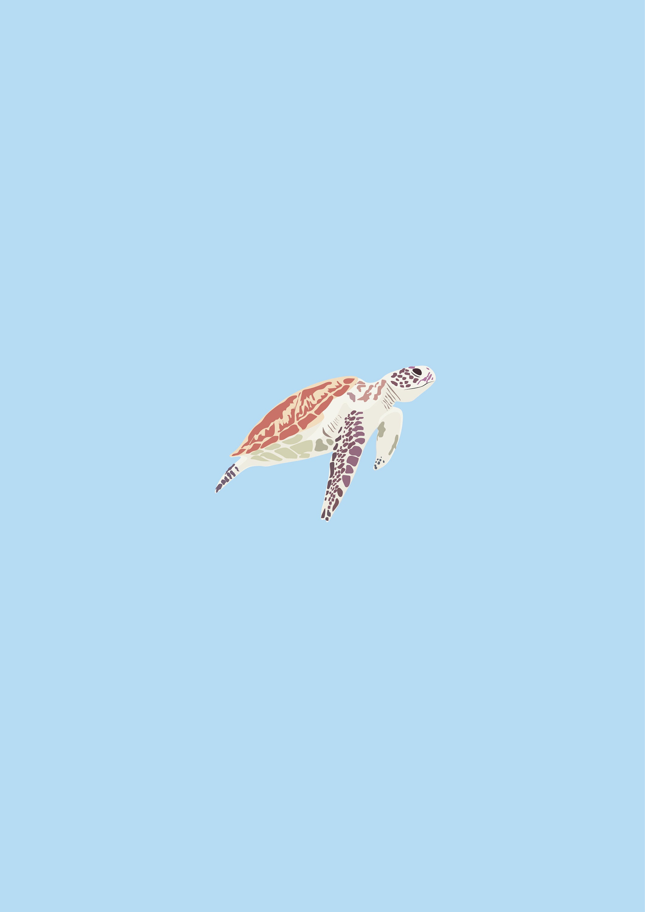 Sea Turtle Wallpaper - Etsy