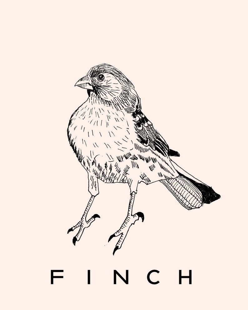 Modern Wall Art of Minimal Finch Drawing - Digital Download - Original ...
