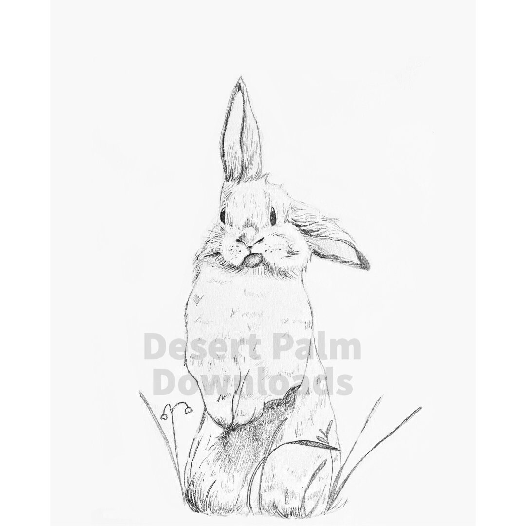 Vintage Sketch Bunny Drawing Digital Download Original Hand Drawn ...