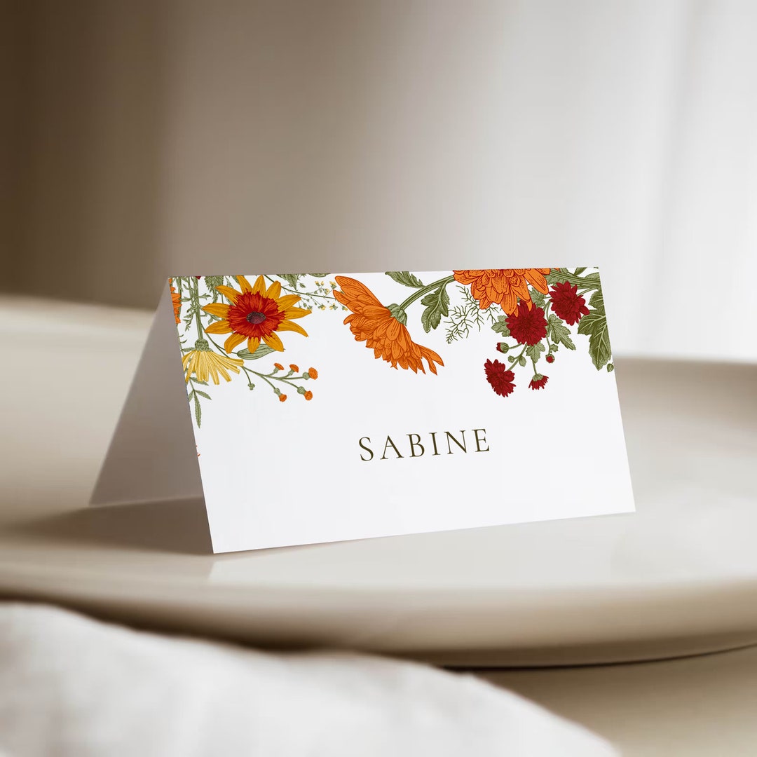 Editable Place Card Template, Printable Place Cards, Tented and Flat ...