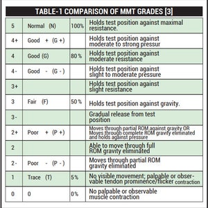 Occupational / Physical Therapy Quick Reference - Etsy