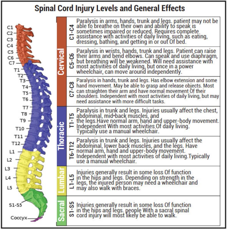 Occupational / Physical Therapy Quick Reference - Etsy