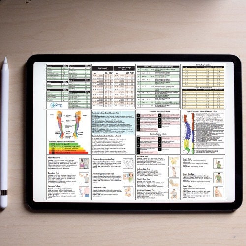 Occupational / Physical Therapy Quick Reference - Etsy