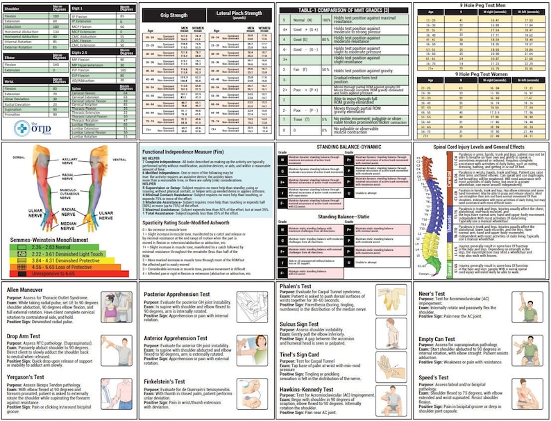 Occupational / Physical Therapy Quick Reference - Etsy