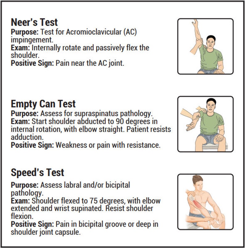 Occupational / Physical Therapy Quick Reference - Etsy